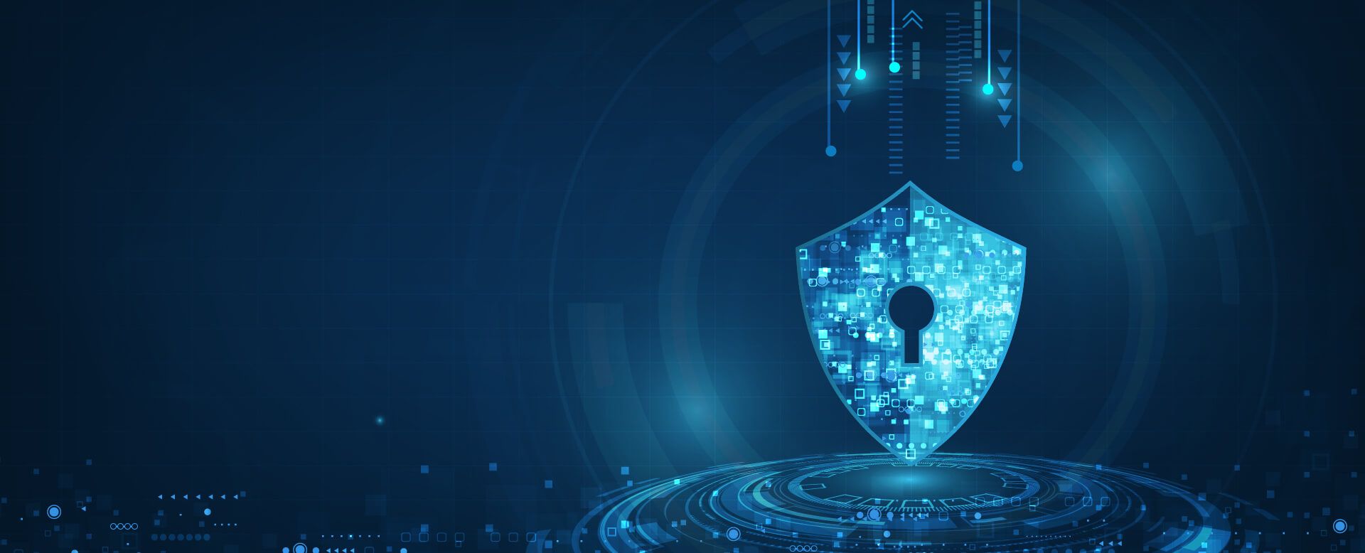 Privacy - Opla Energy